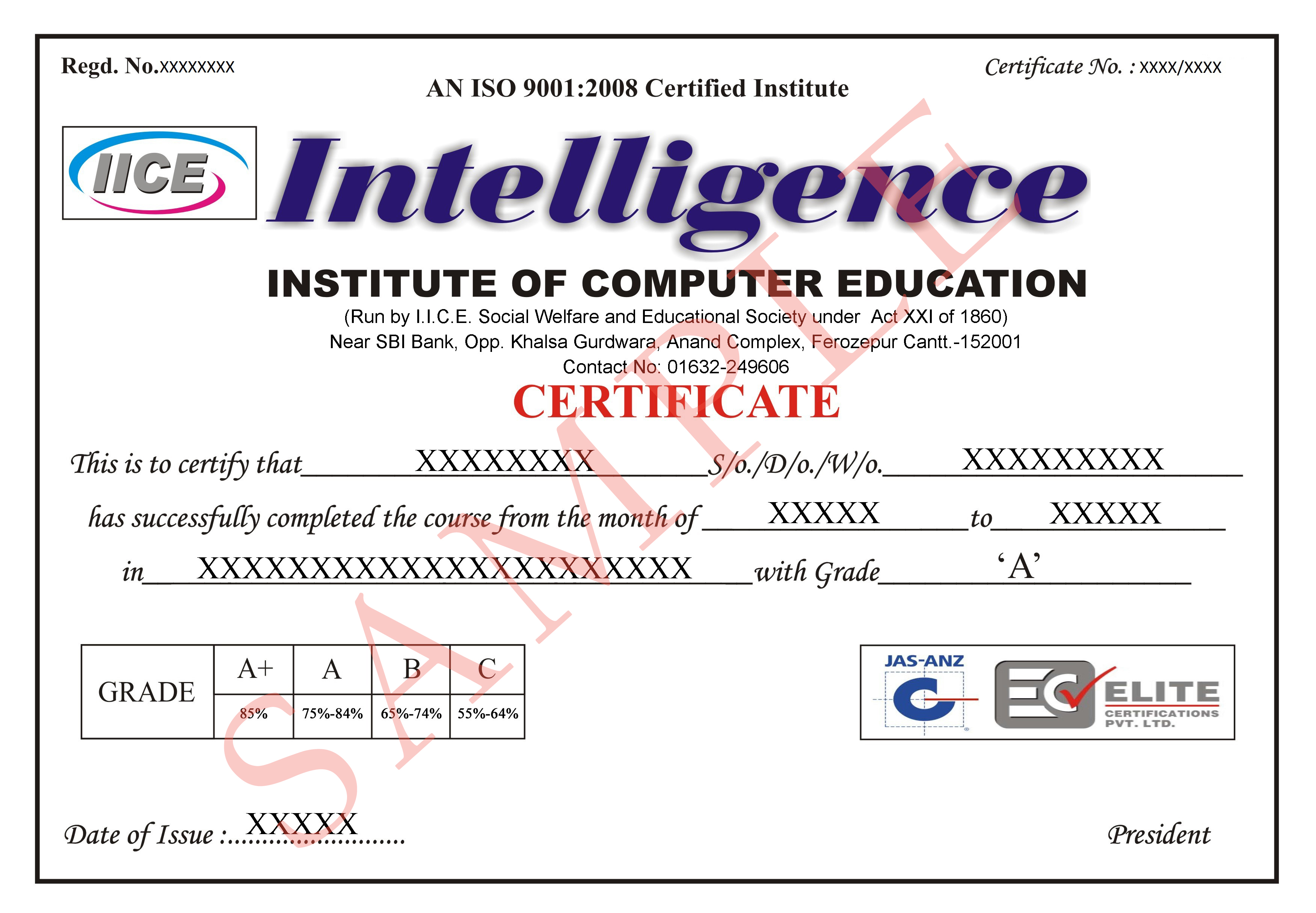 Computer Institute Certificate